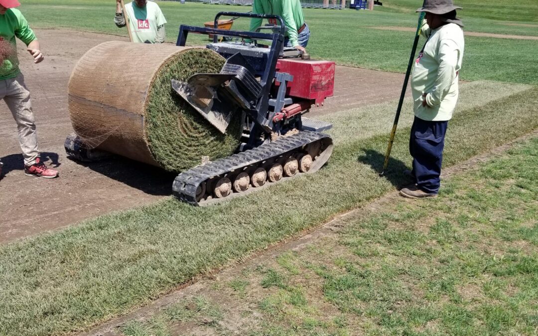 Athletic Turf Renovations Baltimore 4 - K & C Grounds Maintenance ...